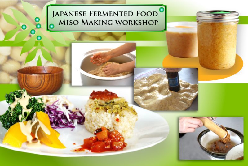 Japanese Fermented Food – Miso Making Workshop | RESOBOX